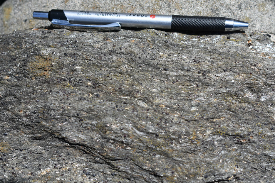 You should be able to make out the shiny mica grains | Chegg.com