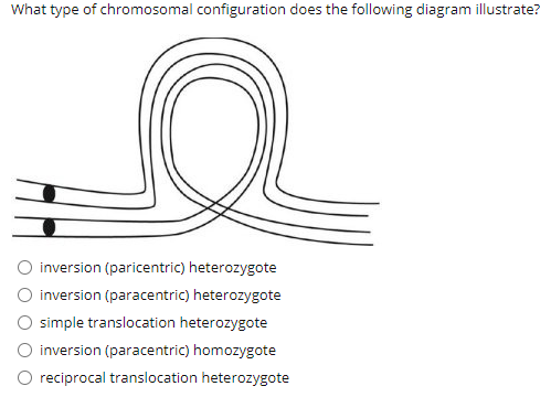 Solved What type of chromosomal configuration does the | Chegg.com