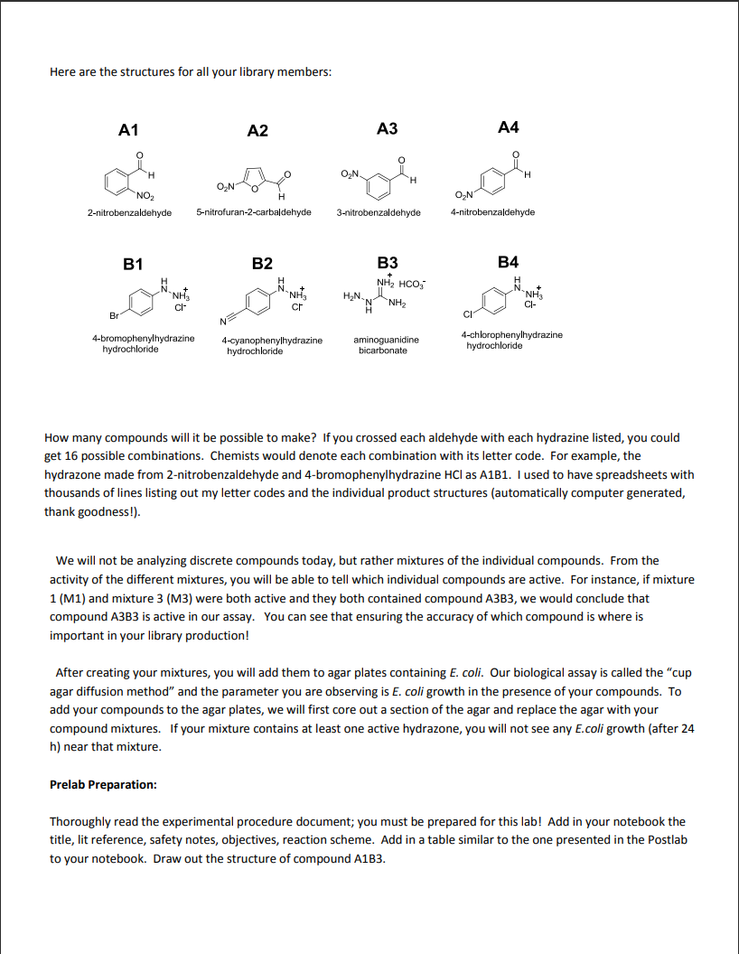 Solved Combinatorial Chemistry: Antibiotic Drug Discovery | Chegg.com