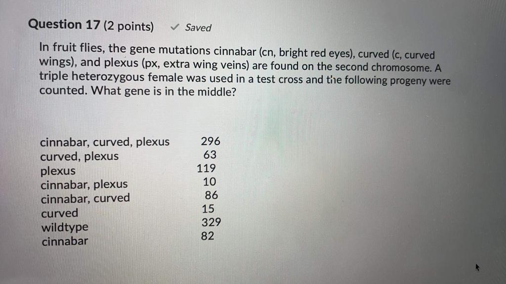 Solved Question 17 (2 points) Saved In fruit flies, the | Chegg.com