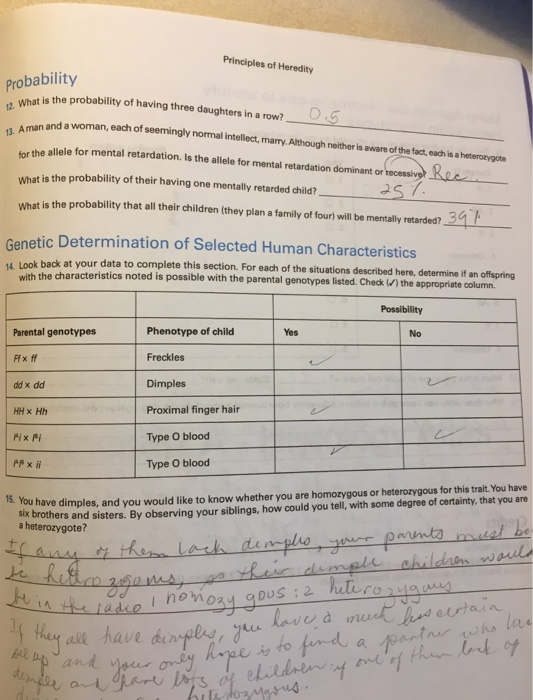 Solved Principles of Heredity Probability 12. What is the | Chegg.com