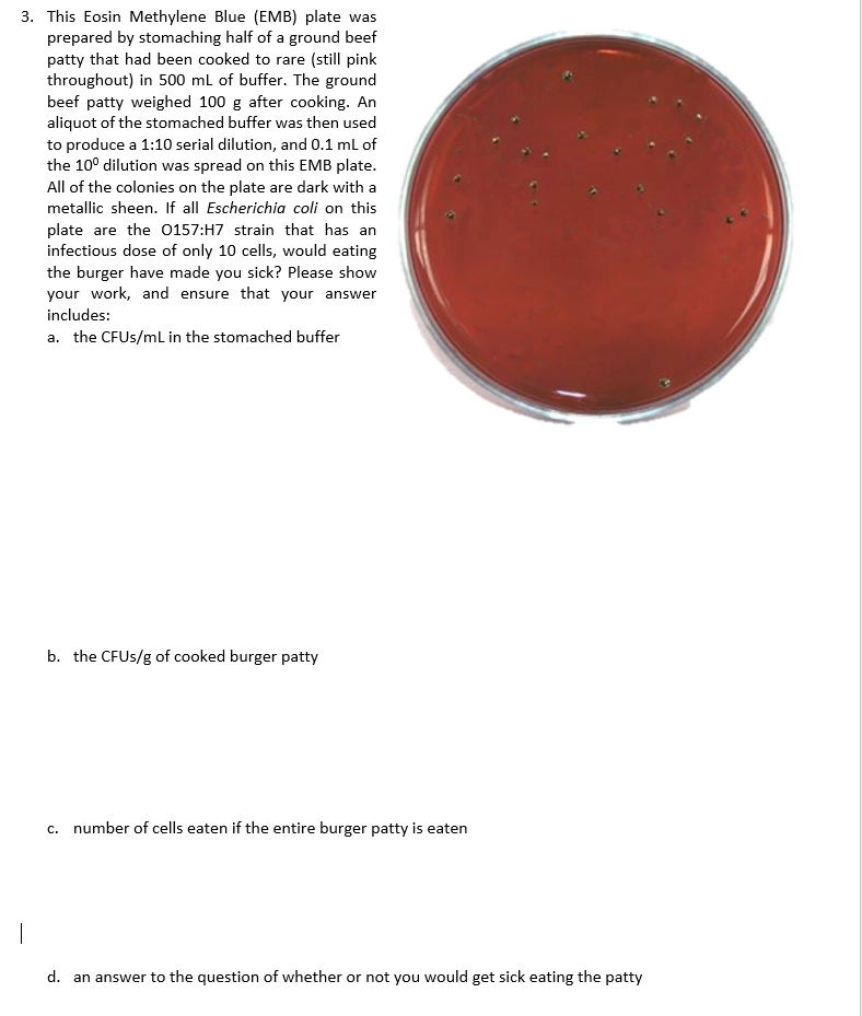 Solved 3. This Eosin Methylene Blue (EMB) plate was prepared | Chegg.com