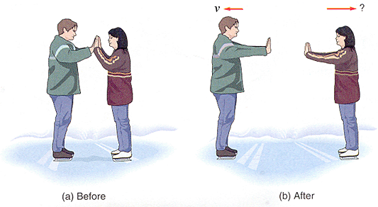 Solved Two ice skaters stand together as illustrated in | Chegg.com