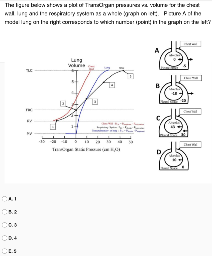 Solved The figure below shows a plot of TransOrgan pressures | Chegg.com