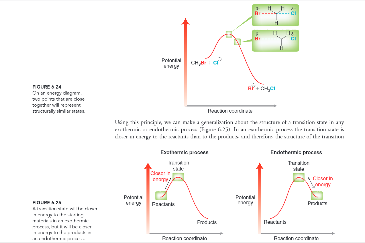 Solved In an exothermic process the transition state is | Chegg.com
