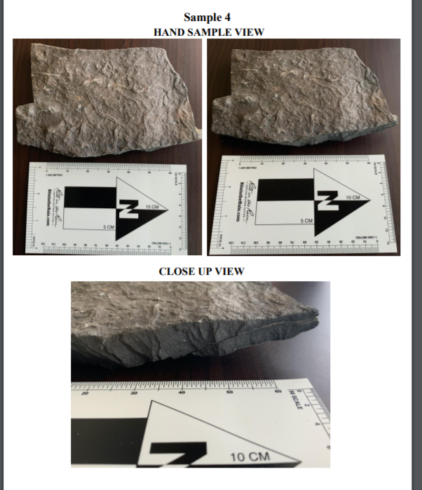 Solved SAMPLE SORTING Poorly, moderately, or well sorted | Chegg.com