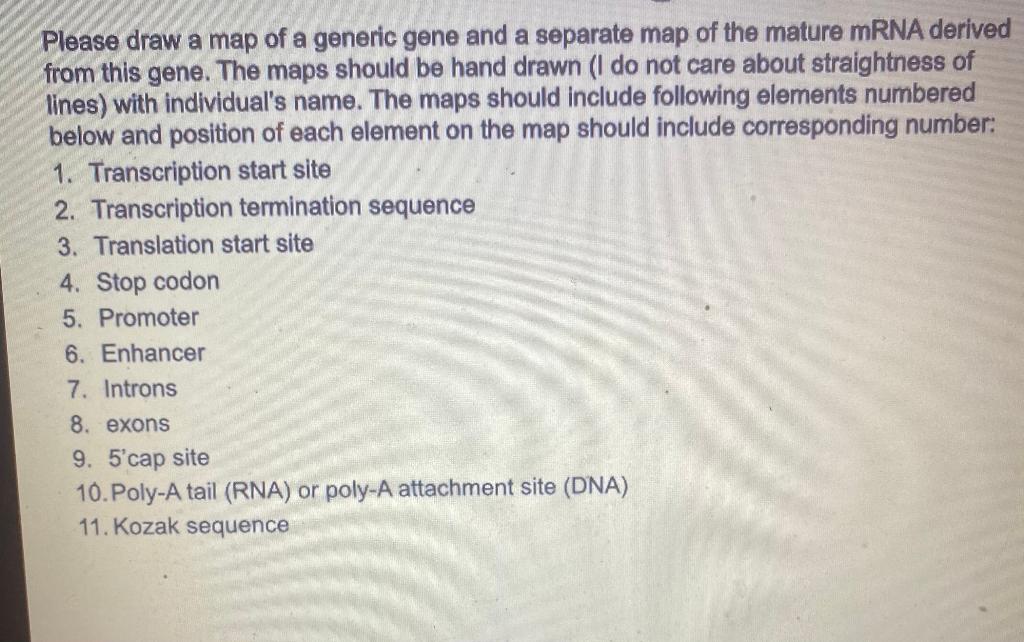 Please draw a map of a generic gene and a separate | Chegg.com