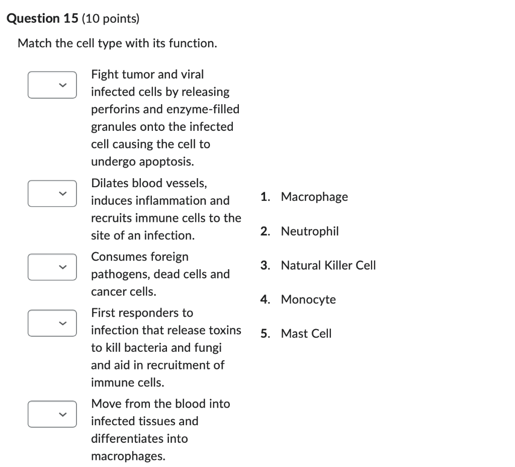 Solved Match the cell type with its function. Fight tumor | Chegg.com