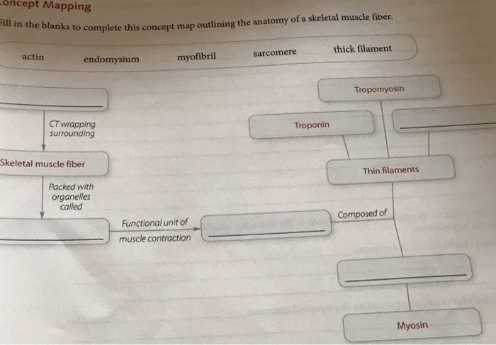 Solved Fill in the blanks to complete this concept map | Chegg.com