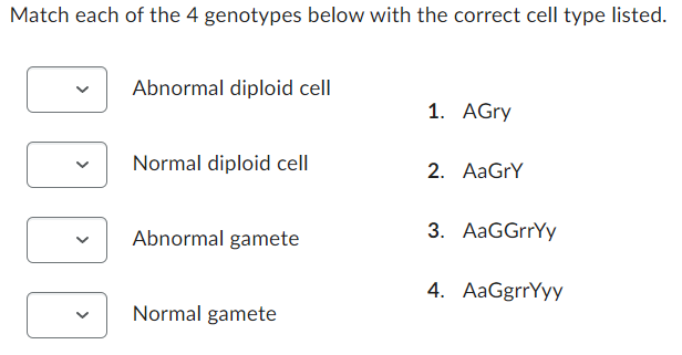 For a cross between AaBBCcdd x AaBbccDd, what is the | Chegg.com