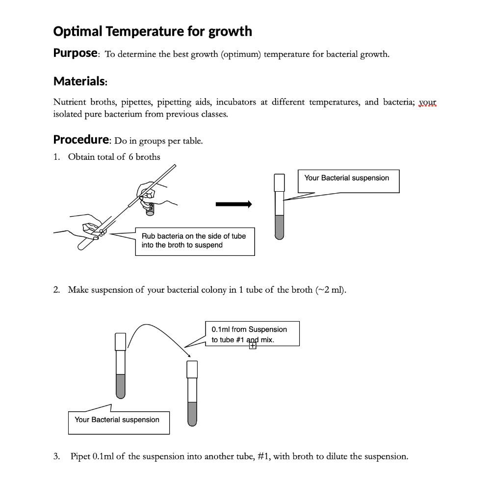 Growth of Bacterial Cultures Bacterial multiplication | Chegg.com