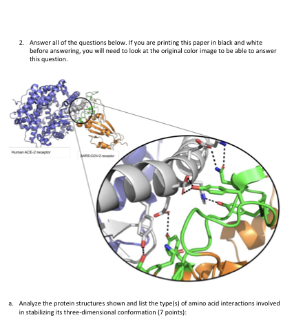 Solved Analyze the protein structures shown and list the | Chegg.com