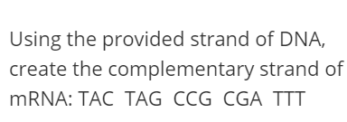 Solved Using the provided strand of DNA, create the | Chegg.com