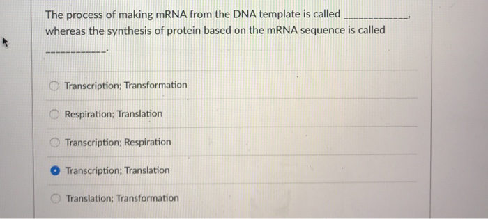 Solved The process of making mRNA from the DNA template is | Chegg.com