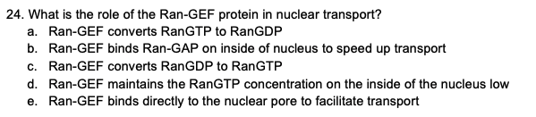 Solved 24. What is the role of the Ran-GEF protein in | Chegg.com