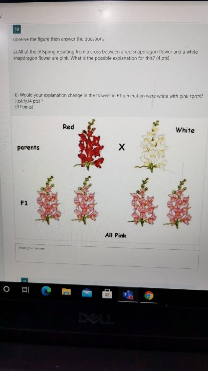 Solved :) 10 observe the figure then answer the questions: | Chegg.com