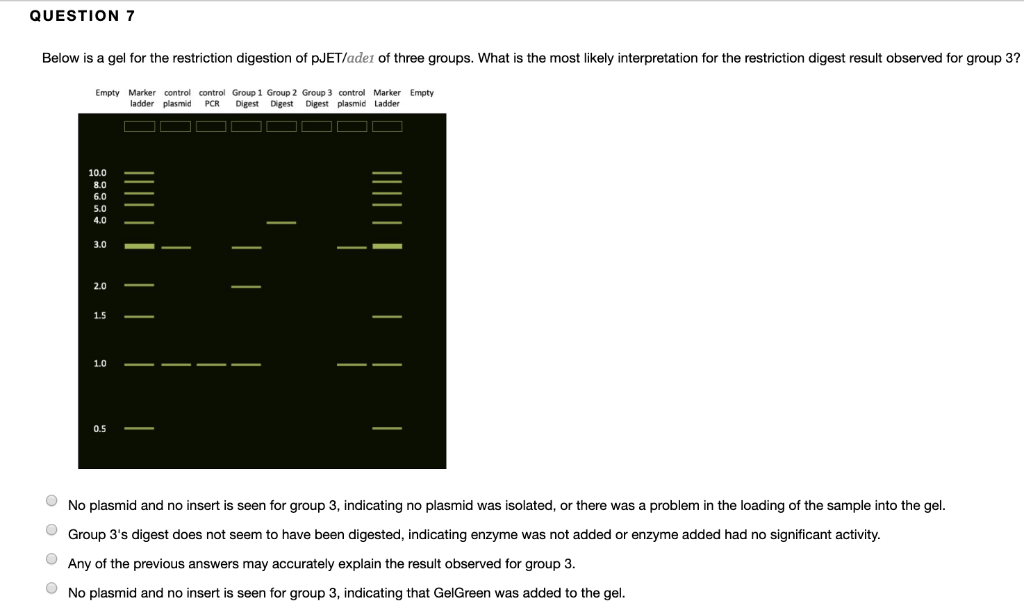 Solved QUESTION 1 The PTC-insensitive allele of TAS2R38 | Chegg.com