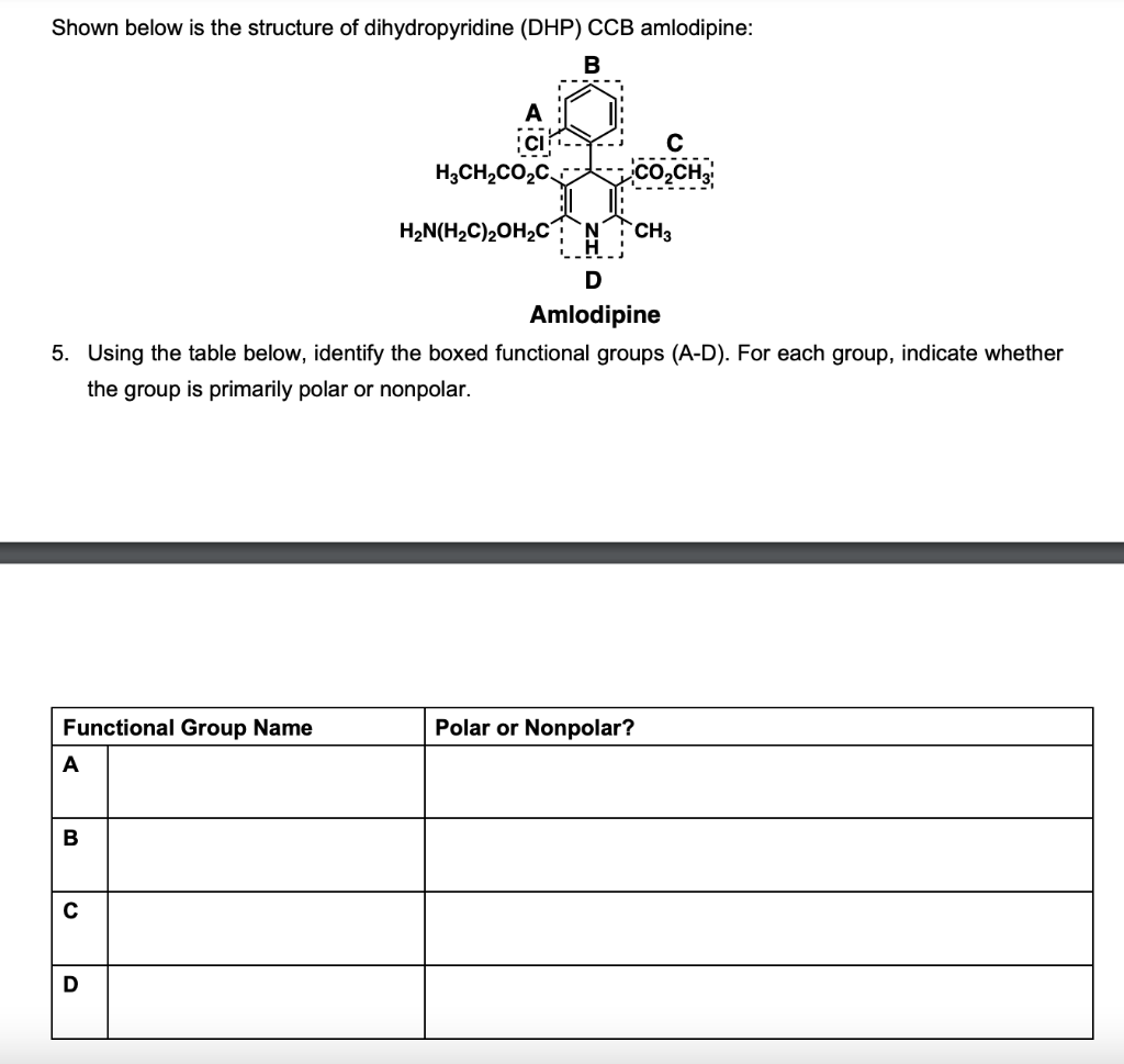 Solved Shown below is the structure of dihydropyridine (DHP) | Chegg.com