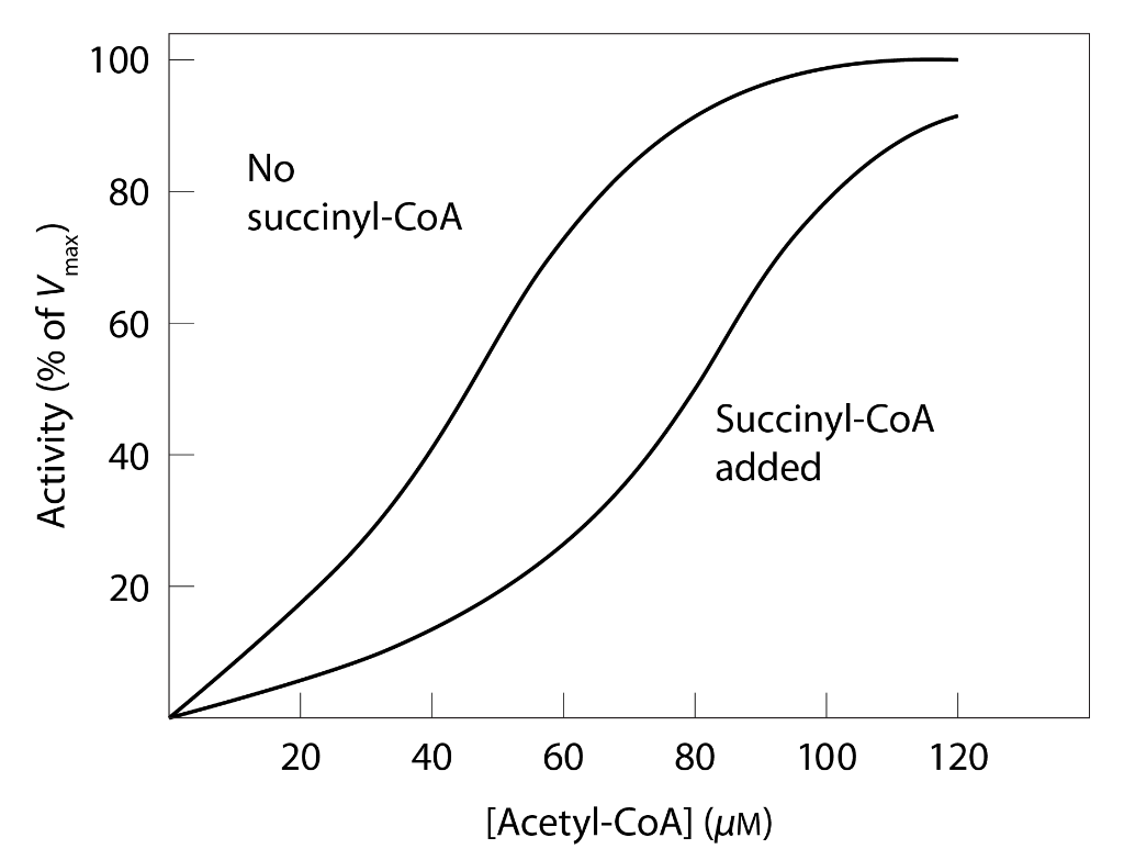 Solved In the presence of saturating amounts of | Chegg.com