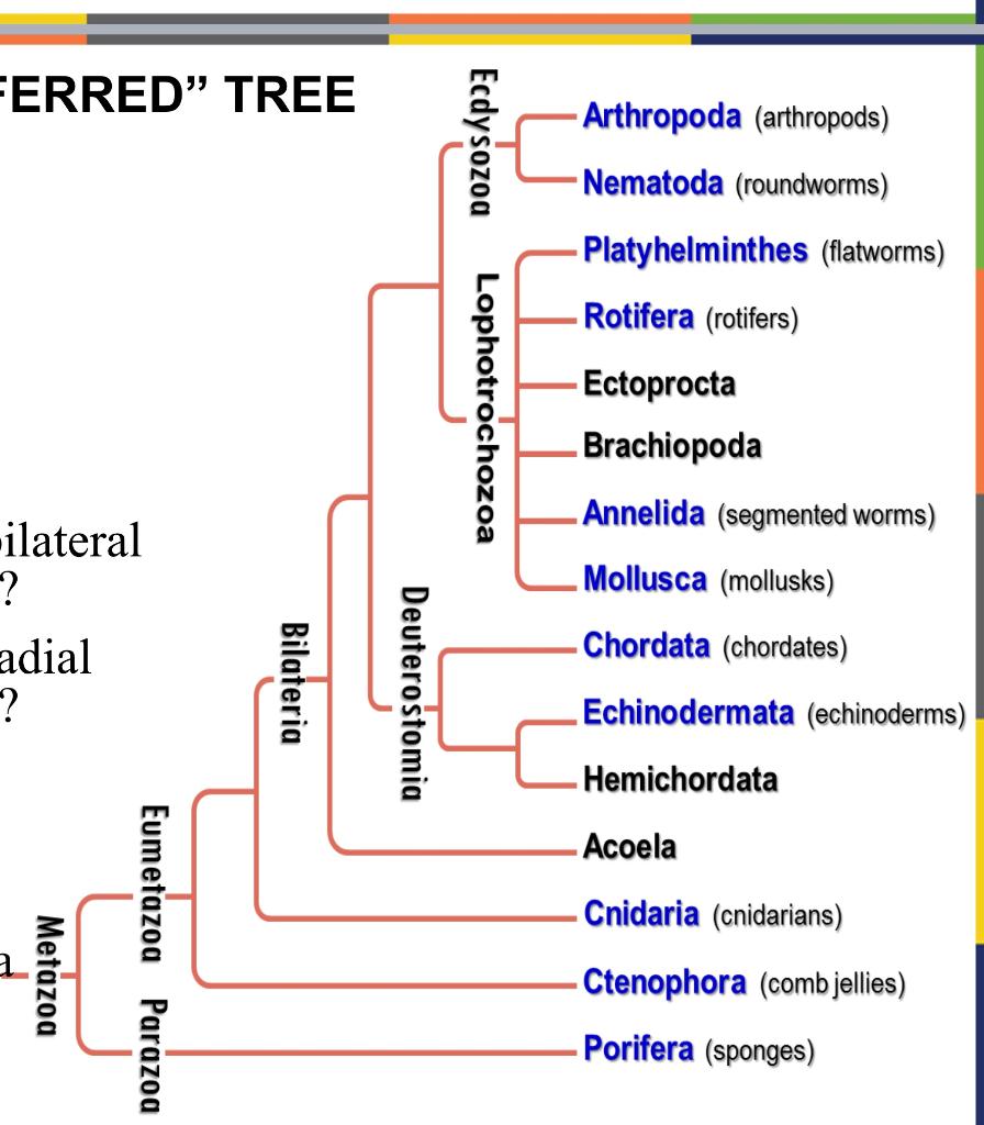 Solved Base on this tree and answer the set following | Chegg.com