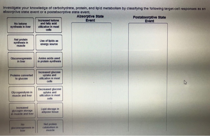 Solved Identify each image shown below. Then click and drag | Chegg.com