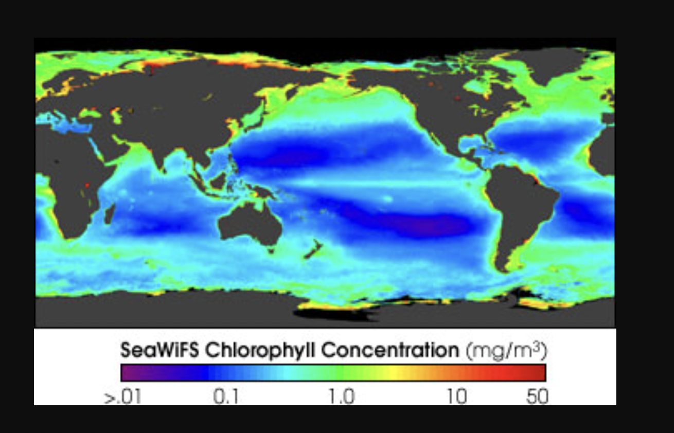 Solved Examine the image of ocean chlorophyll data (complete | Chegg.com