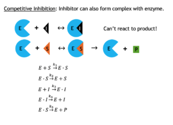 Solved Derive the reaction rate for competitive inhibition | Chegg.com