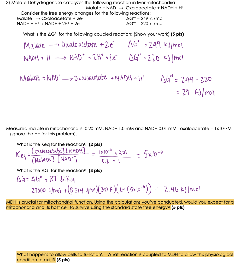 Solved Malate Dehydrogenase catalyzes the following reaction | Chegg.com