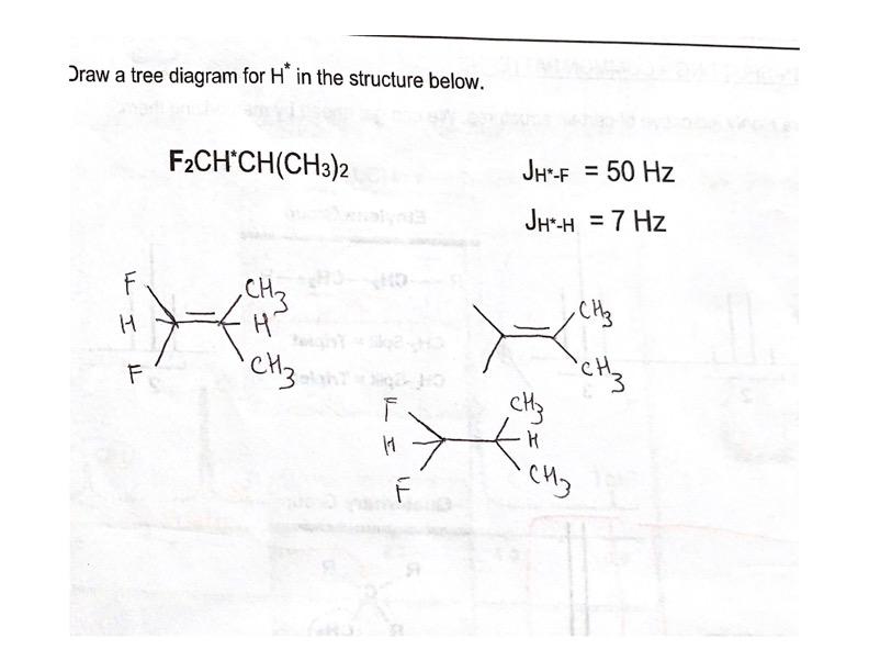 Solved What would the tree diagram for this compound look | Chegg.com