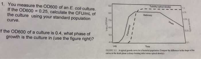 Solved abidity (optical density) 1. You measure the OD600 of | Chegg.com