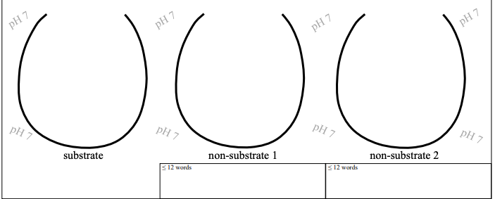 Solved Use 3 or more different amino acid residues | Chegg.com