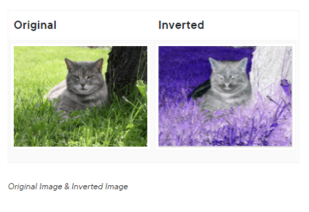 Solved Python Programming Exercise 7.7 I'm unsure of where | Chegg.com