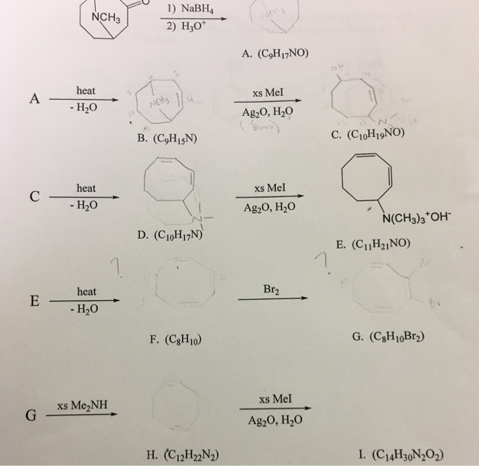 Solved 1 NaBH4 2) H3O NCH3 A. (CoH17NO) heat - H20 xs Mel | Chegg.com