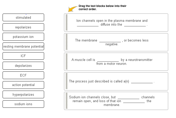 Solved Click and drag the terms on the left to accurately | Chegg.com