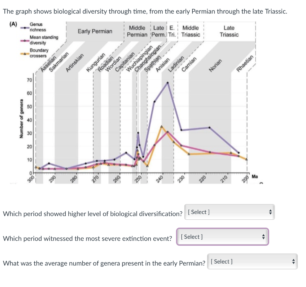 Solved The graph shows biological diversity through time, | Chegg.com