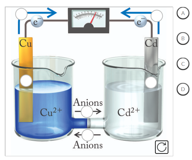 Solved Part 2 (1 point) Identify the cathode and anode in | Chegg.com