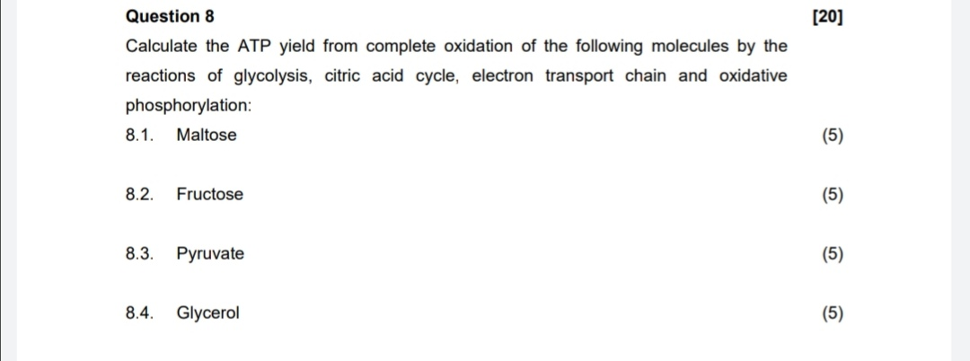 Solved Question 8 [20] Calculate the ATP yield from complete | Chegg.com