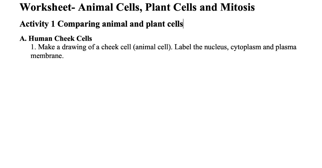Solved Worksheet- Animal Cells, Plant Cells and Mitosis | Chegg.com