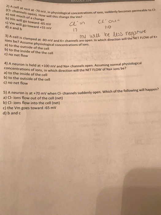 Solved 2) A cell at rest at -70 mV, in physiologice the (Cl- | Chegg.com