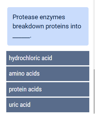 Solved Protease enzymes breakdown proteins intohydrochloric | Chegg.com