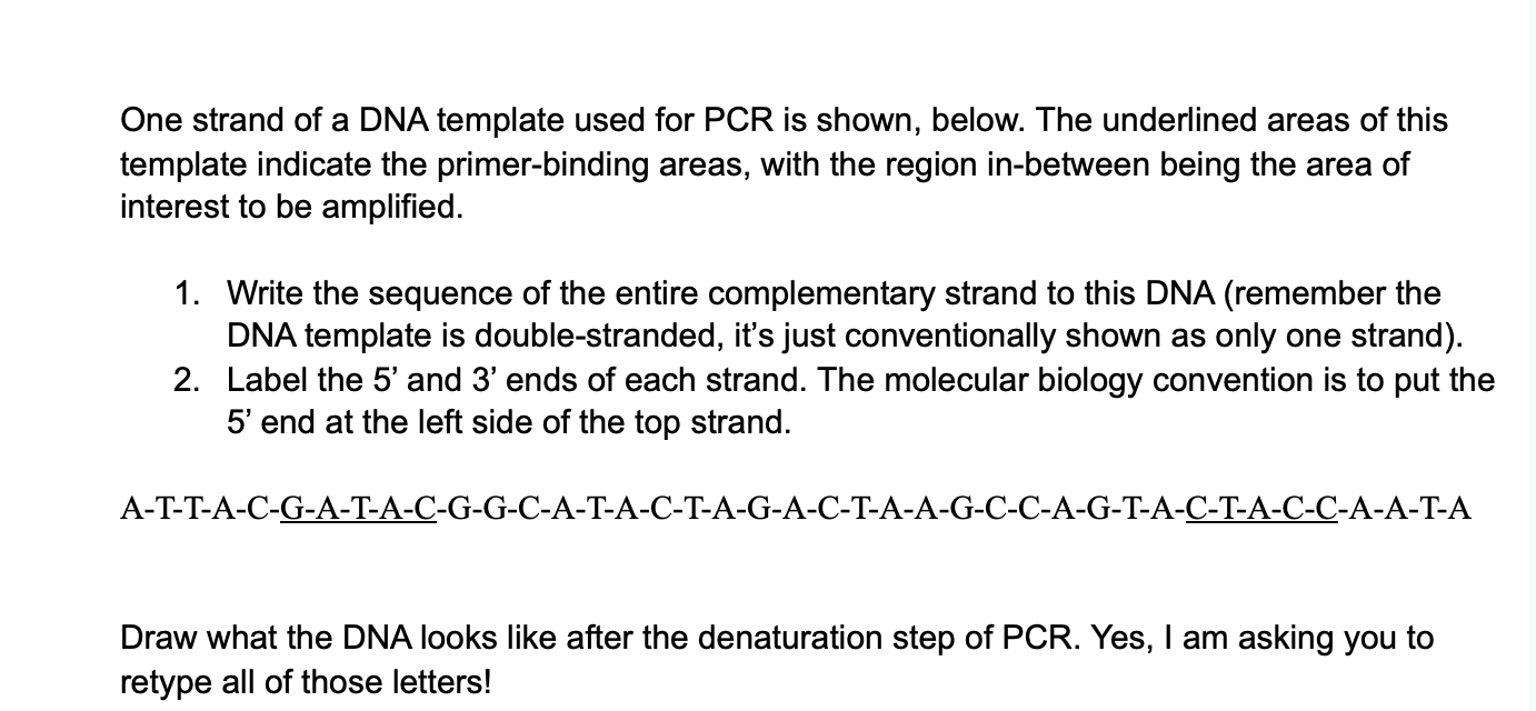 Solved One strand of a DNA template used for PCR is shown, | Chegg.com