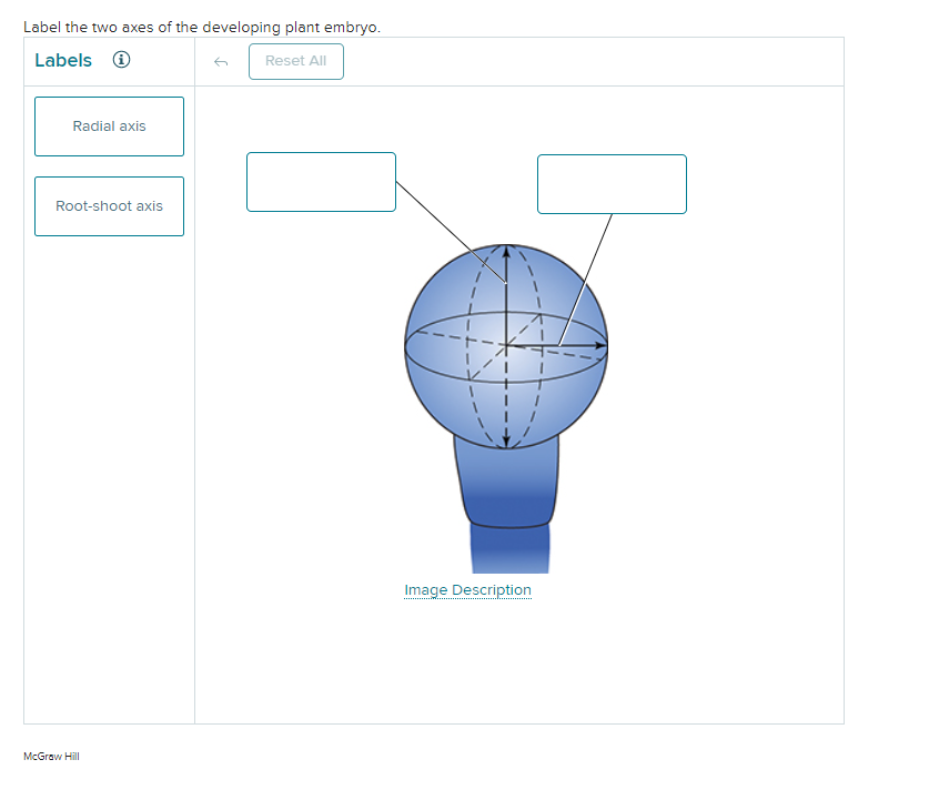 Solved Label the two axes of the developing plant embryo. | Chegg.com