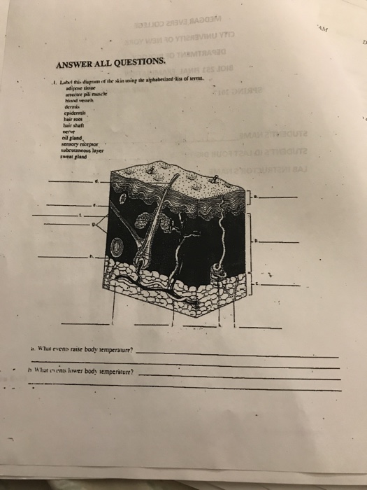 Solved 3. Select the key choices that characterize each of | Chegg.com
