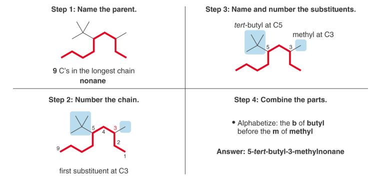 Solved what is tert? Why is the substituent at 5 | Chegg.com