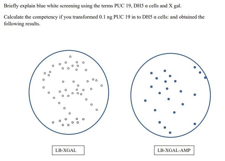 Solved Briefly explain blue white screening using the terms | Chegg.com