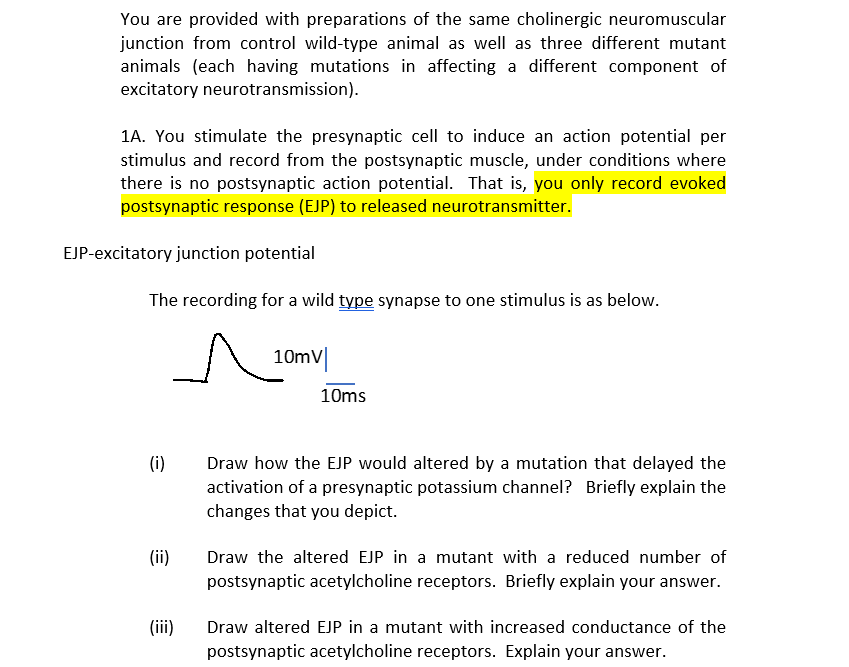 Solved You are provided with preparations of the same | Chegg.com