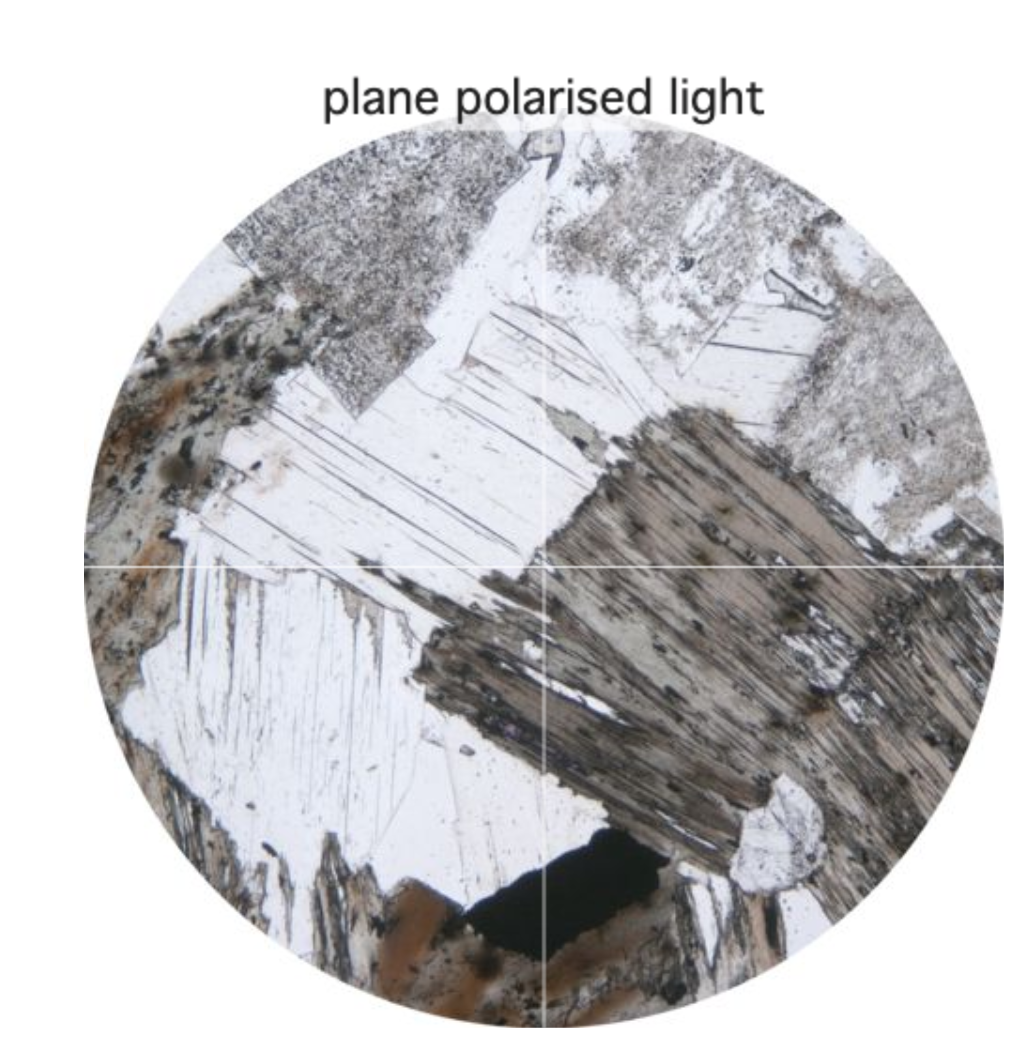 Solved b. Rotation 3 is focused on grains of Muscovite | Chegg.com