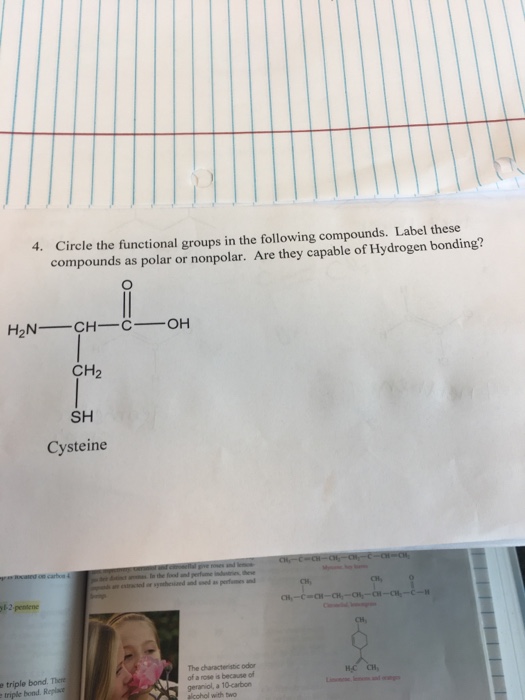 Solved Circle the functional groups in the following | Chegg.com