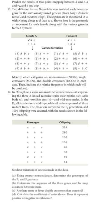 Solved Predict the results of two-point mapping between d | Chegg.com
