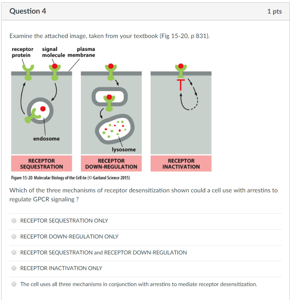 Solved Question 4 1 pts Examine the attached image, taken | Chegg.com Solved Question 4 1 pts Examine the attached image, taken | Chegg.com